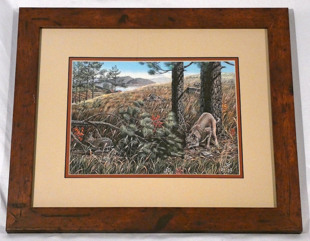 Don Balke Lithograph Wild Cat and Rabbit Framed Litho 1982 - Etsy