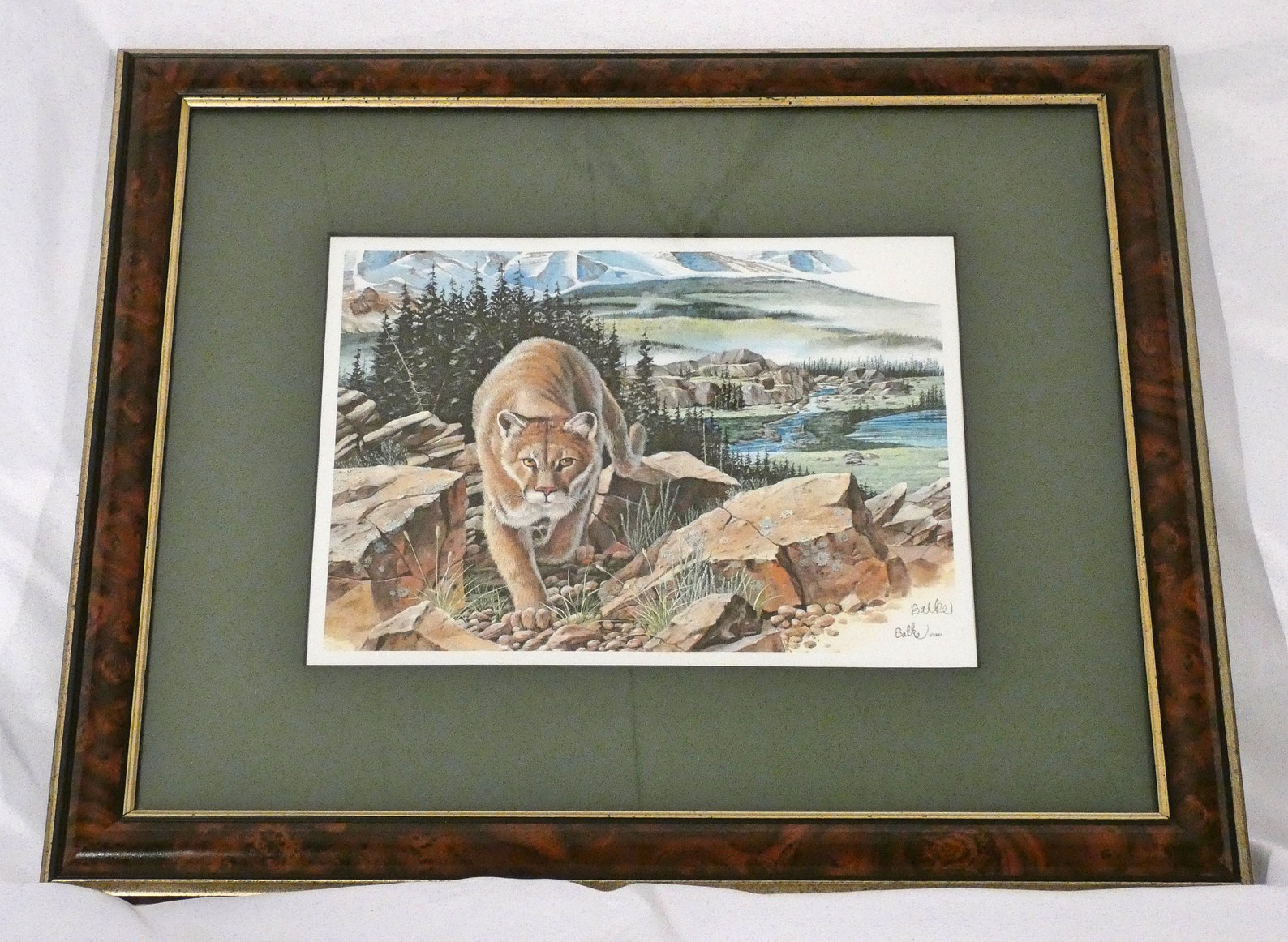 Don Balke Lithograph Cougar Framed Litho Signed in Pencil - Etsy