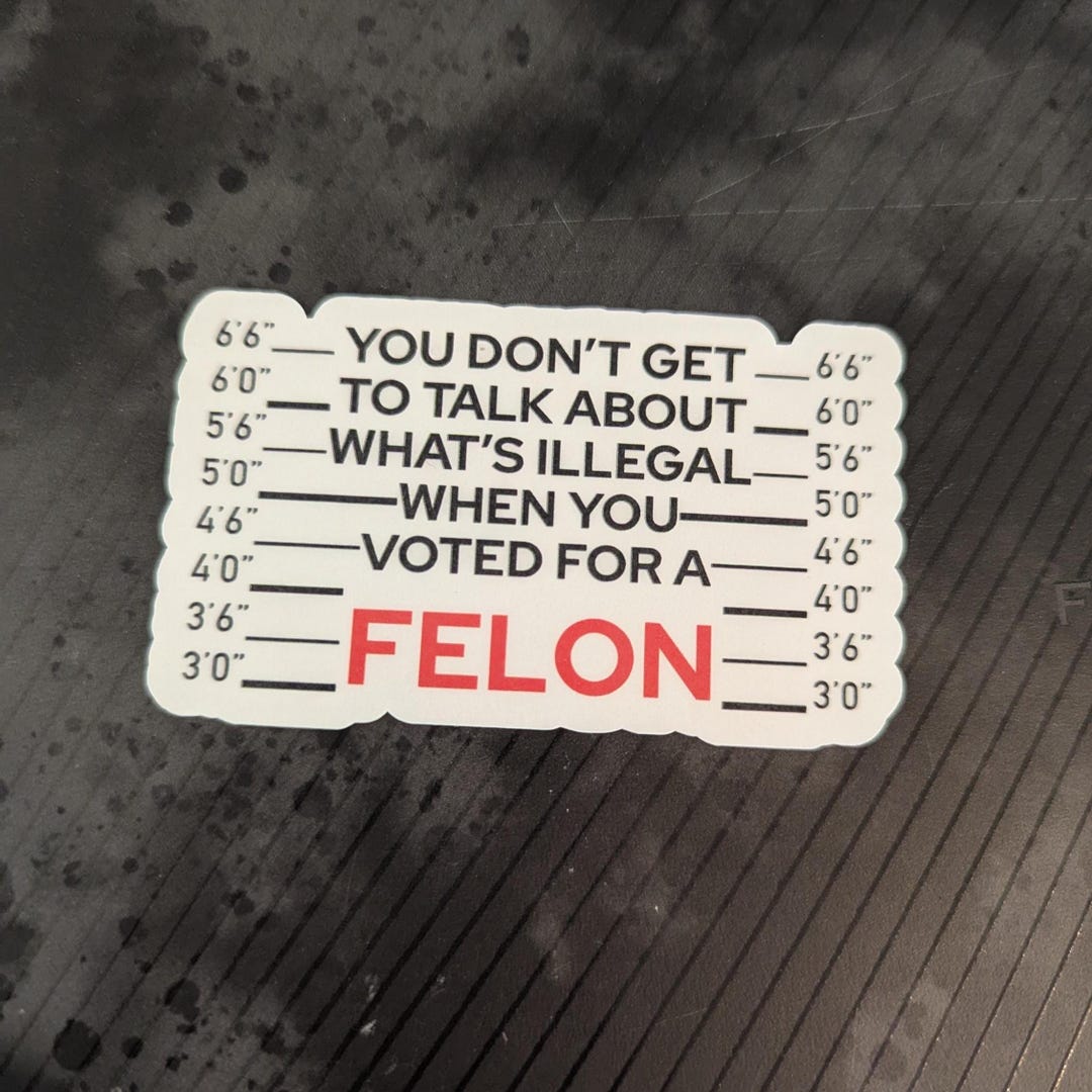 Felon Mugshot Vinyl Sticker – Political Snark, Hypocrisy Slayer - Etsy