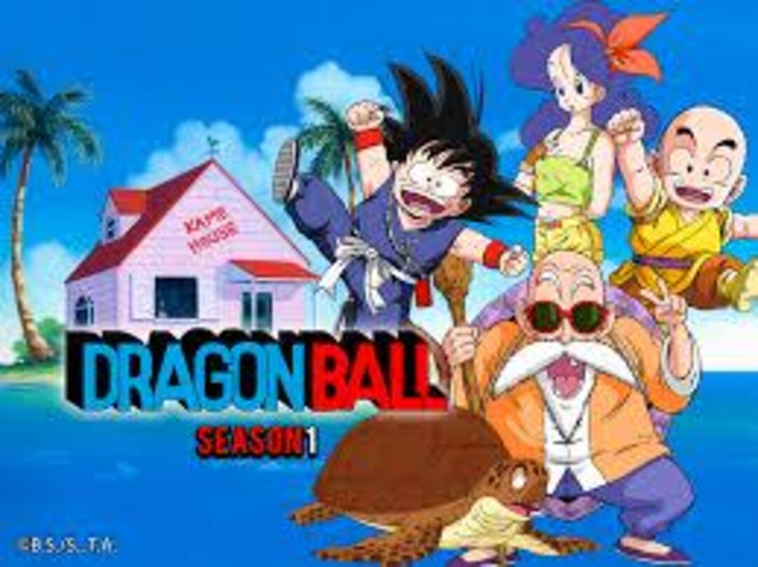 Dragonball First Complete Series - Etsy