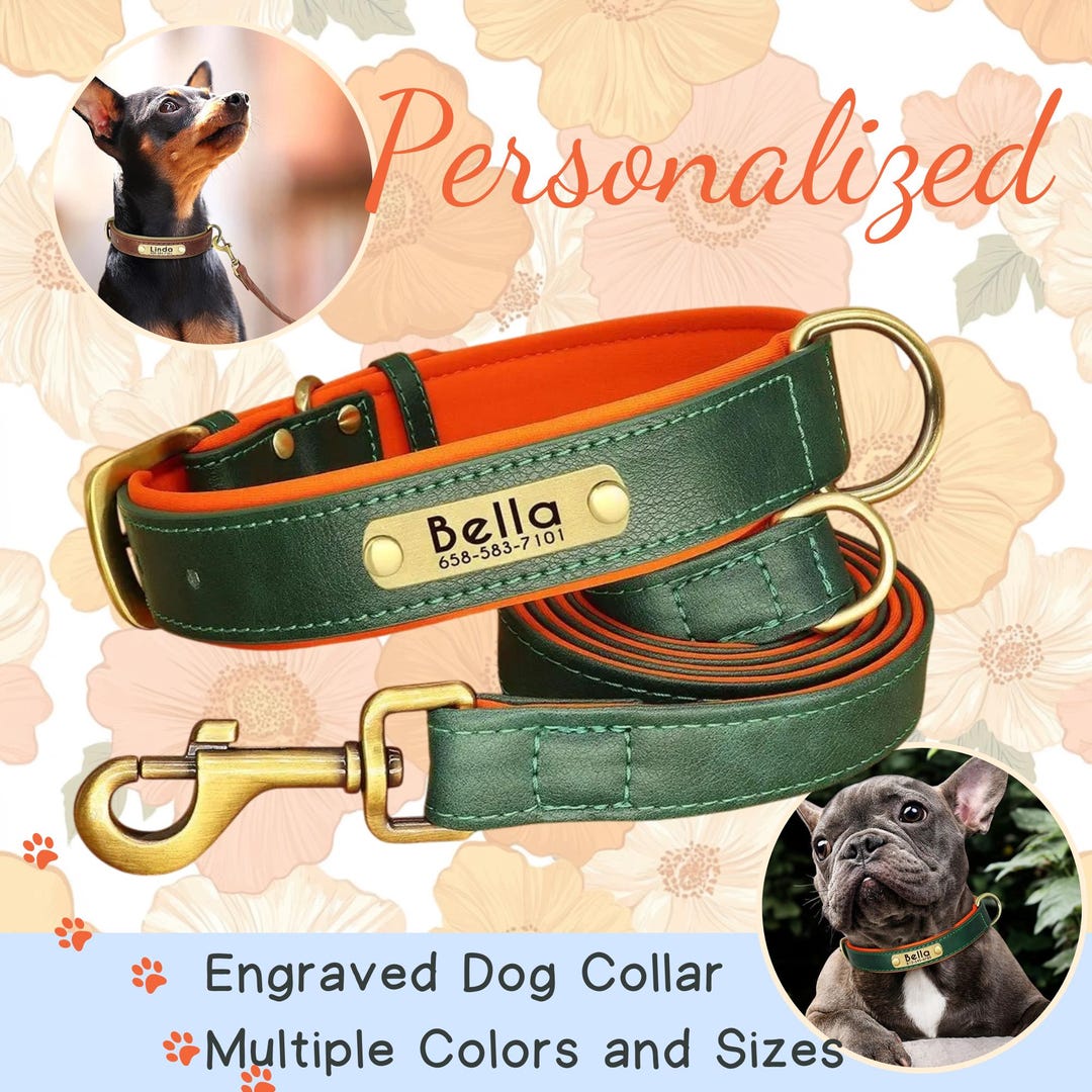 Dog Collar With Name Plate, Custom Dog Collar, Dog Name Tag Collar ...