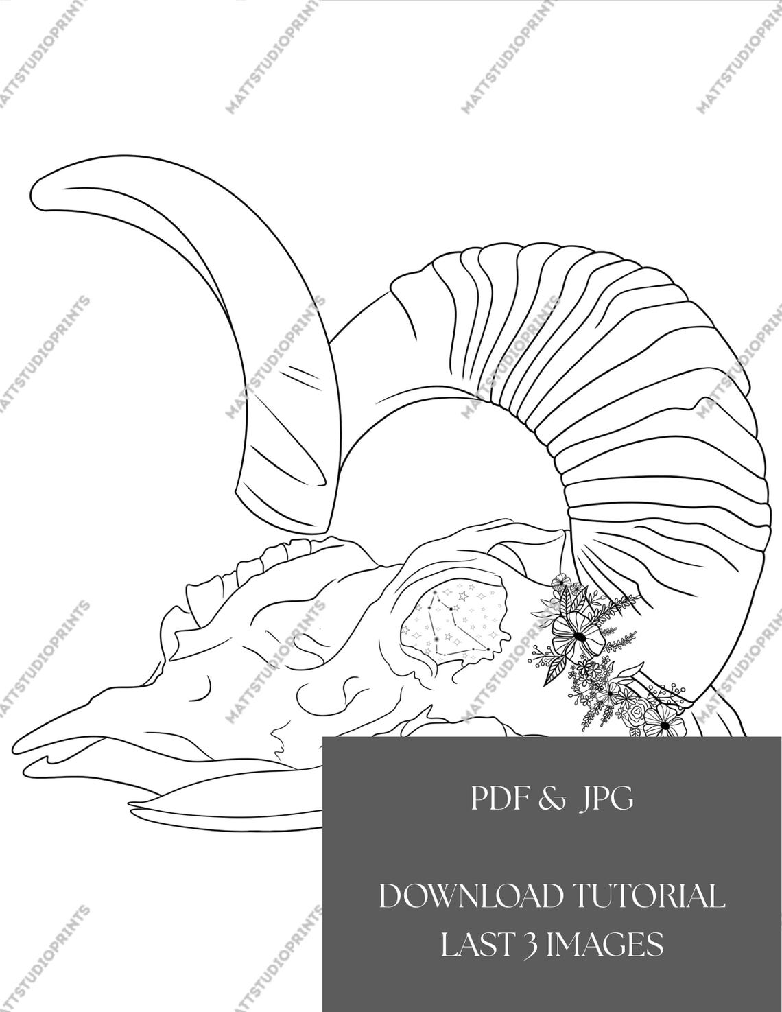Capricorn Zodiac Coloring Page: Ram Skull Floral Constellation | Colour ...