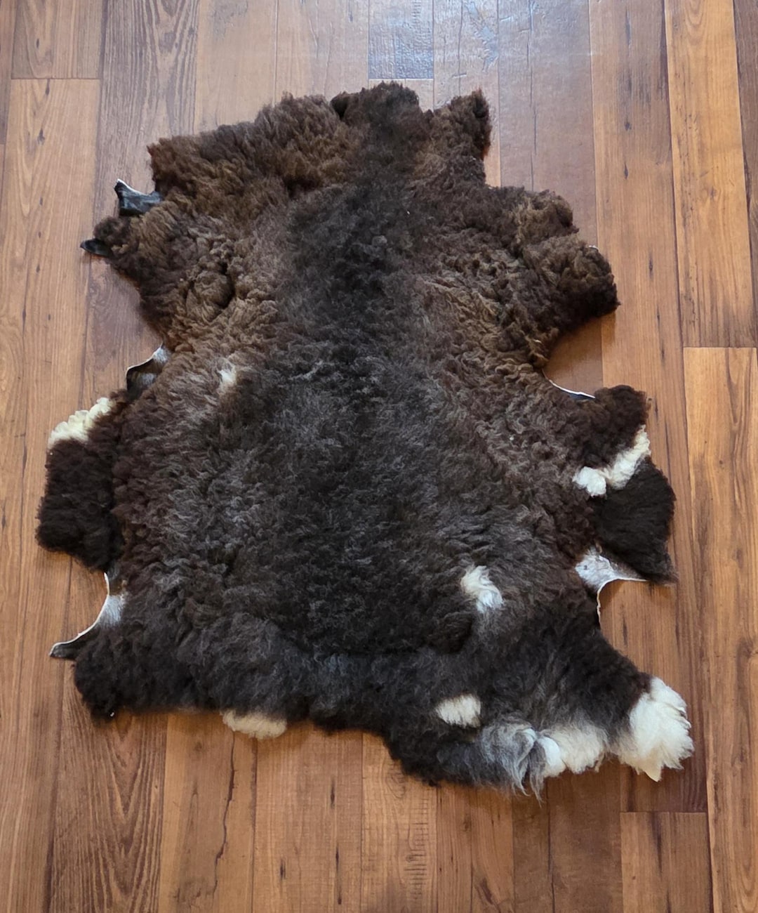 Wool Sheep Skin, Unique #3, Shepherd's Cross - 34" by 26" - Etsy