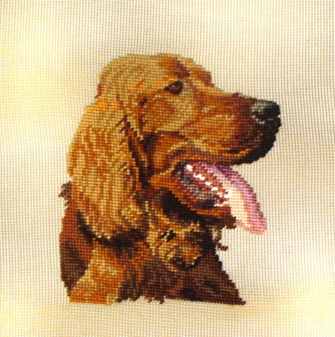 Irish Setter Needlepoint/hot Diggity Dog/craft Supplies & - Etsy
