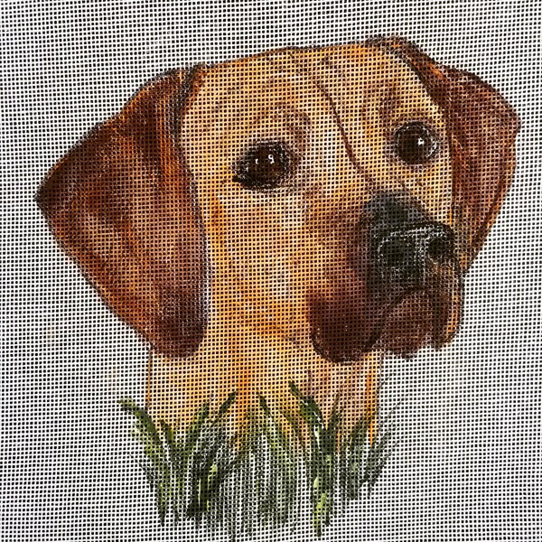 Needlepoint Belt Kit - Etsy