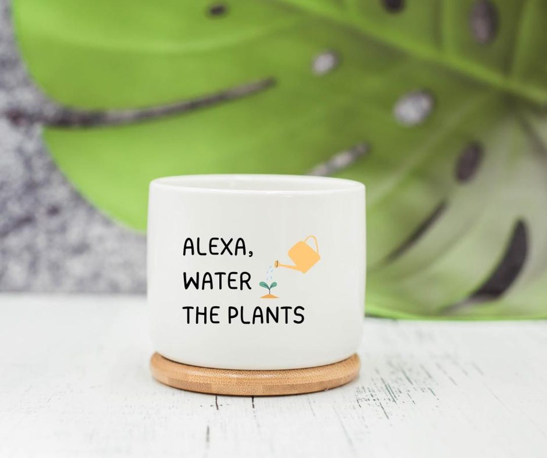 Alexa, Water the Plants Ceramic Planter – Funny Smart Home-inspired Pot ...