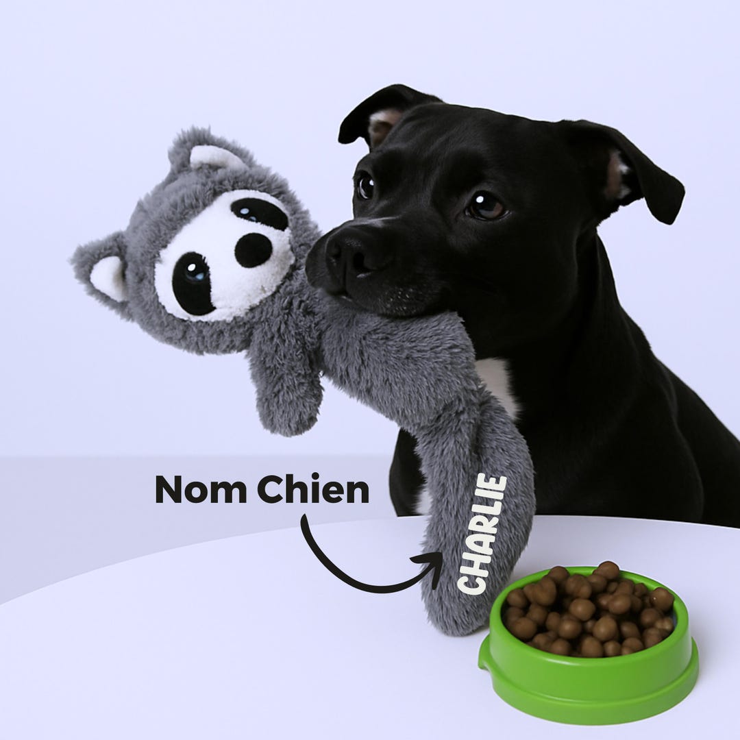 Cadeau Chien Peluche Personnalisé, Jouet Sonore Pour Animaux, Cadeau ...