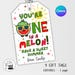 Editable You're One in a Melon Gift Tag, Last Day of School Tags ...