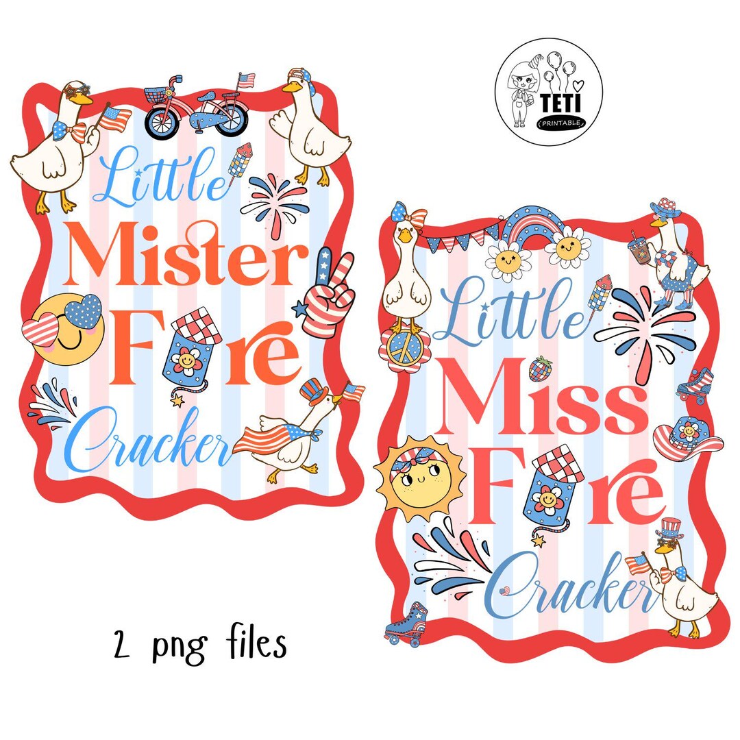Little Miss Firecracker Goose Png, 4th July Png Kids Toddler, Girly ...