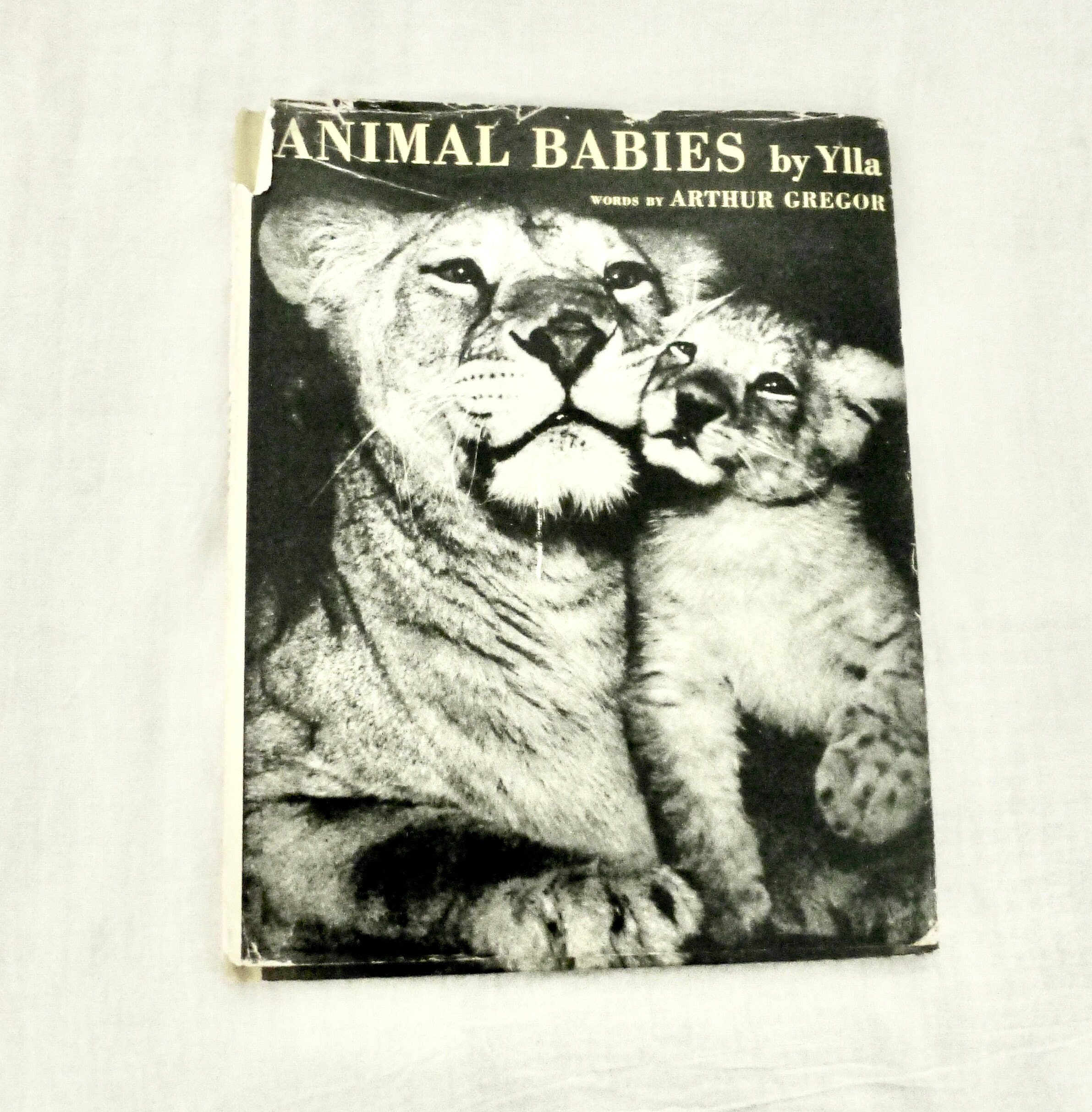 1959 'animal Babies', Book, Photographed by Famed Midcen Animal ...