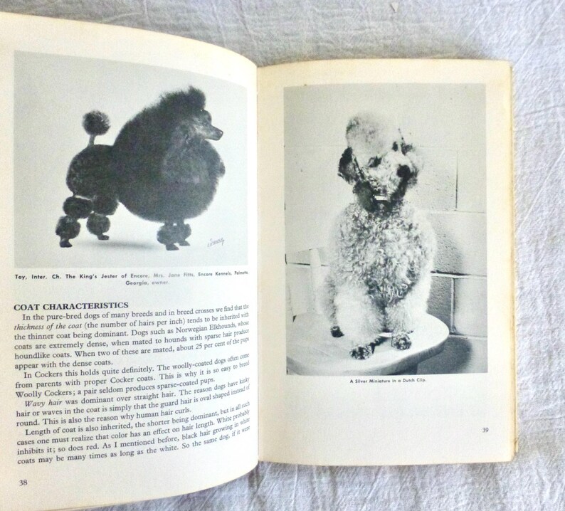 1960, 1st Ed. 'this is the POODLE', Practical Science Breed Book ...