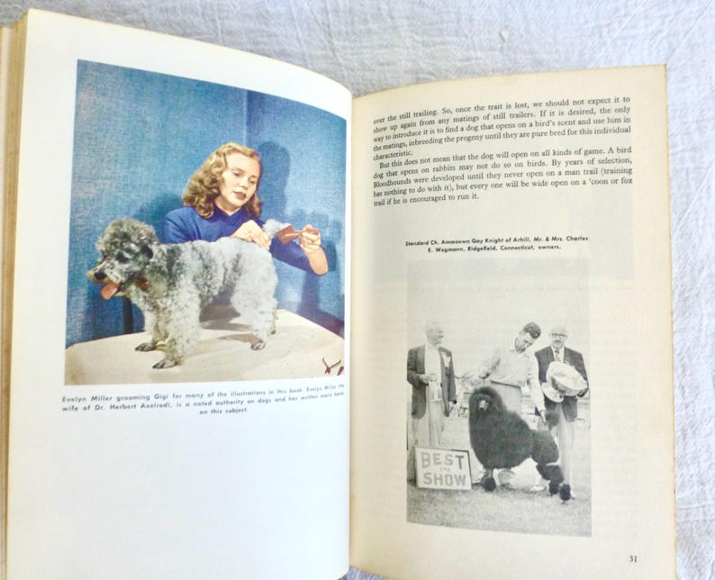 1960, 1st Ed. 'this is the POODLE', Practical Science Breed Book ...