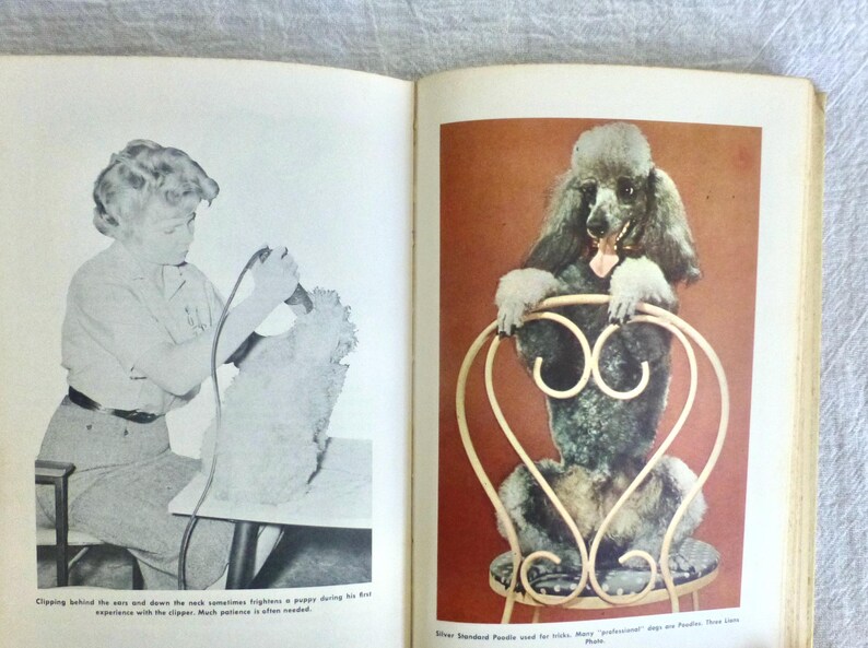 1960, 1st Ed. 'this is the POODLE', Practical Science Breed Book ...