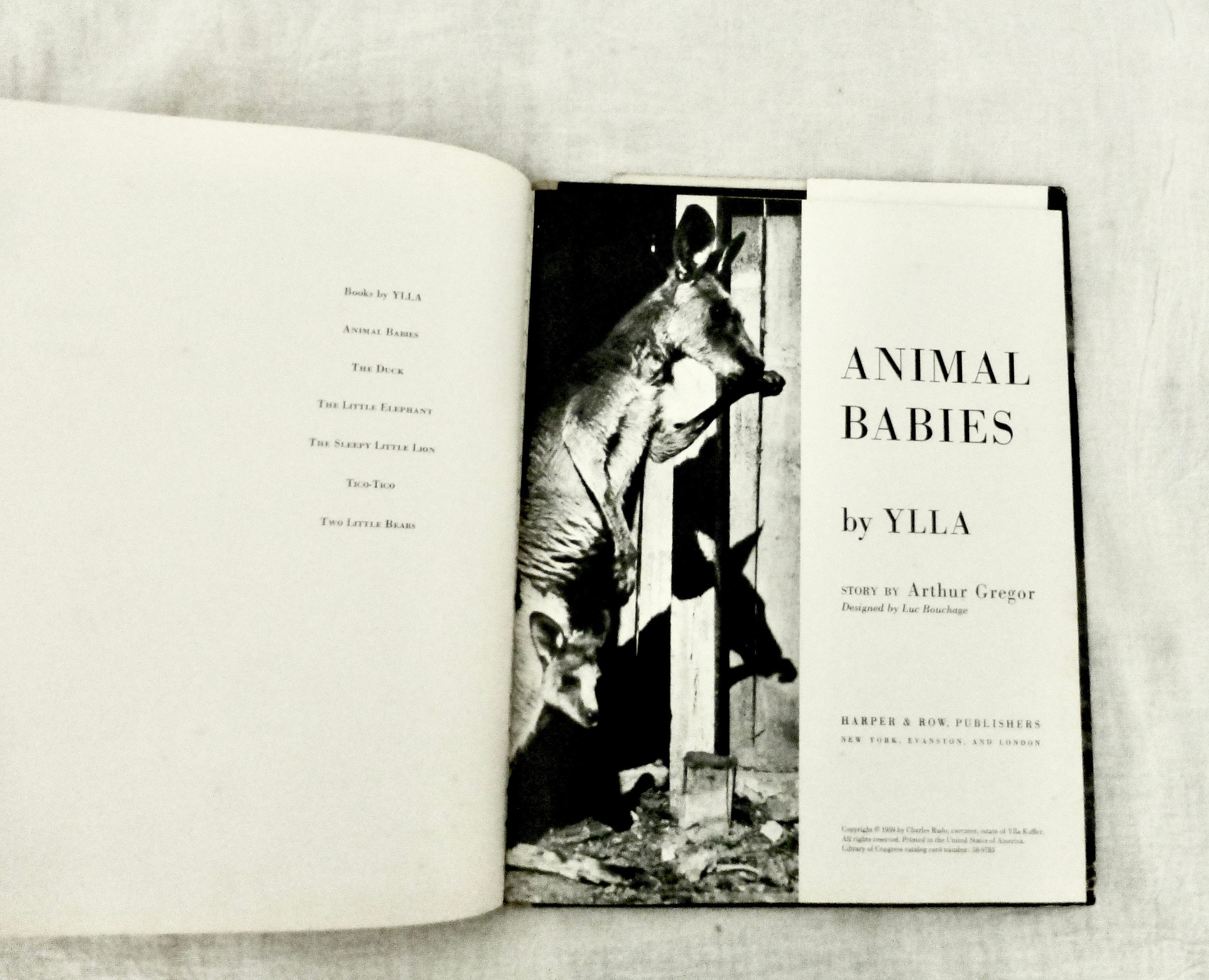 1959 'animal Babies', Book, Photographed by Famed Midcen Animal ...
