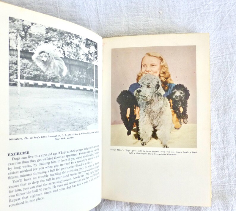 1960, 1st Ed. 'this is the POODLE', Practical Science Breed Book ...