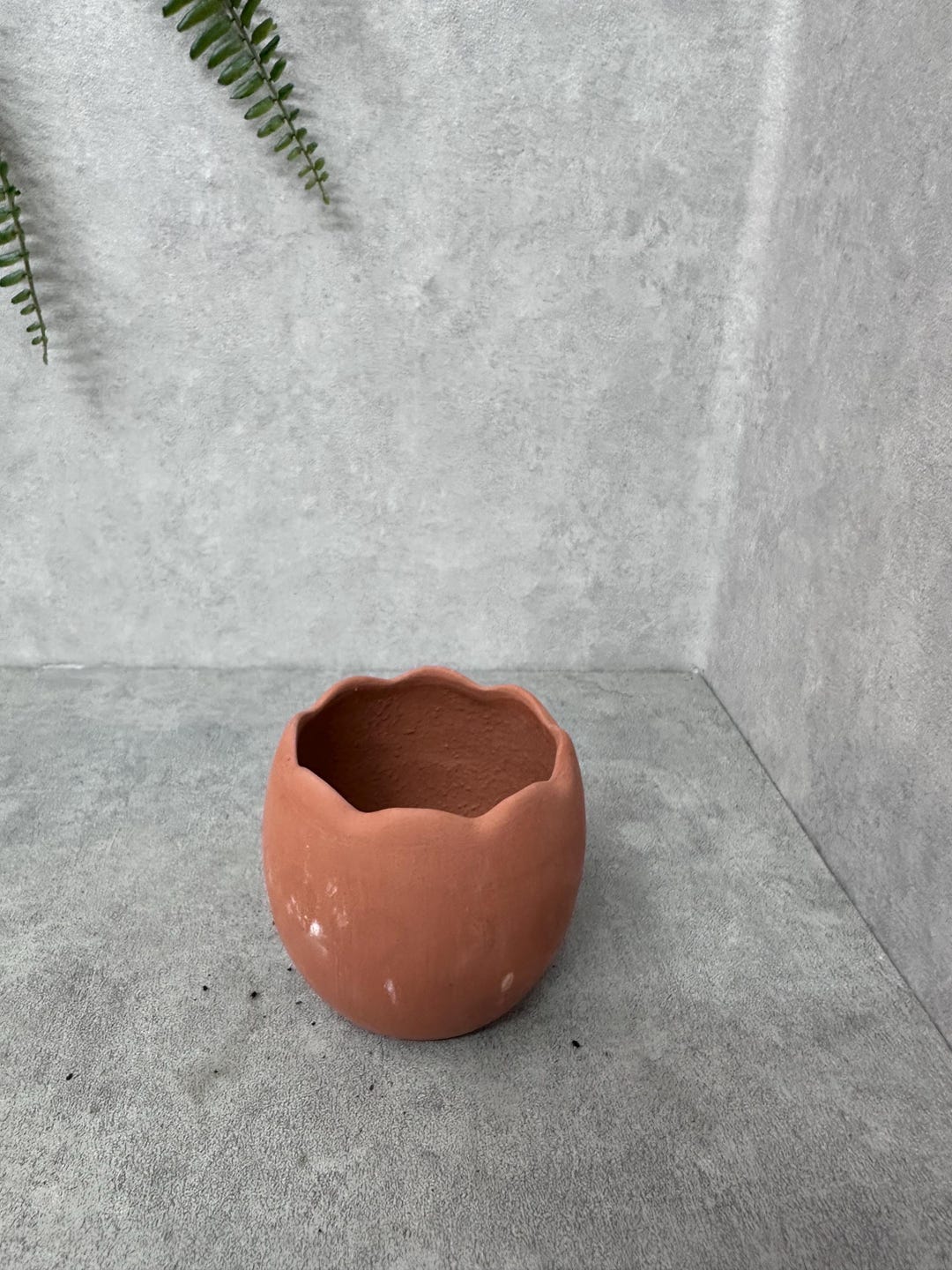 Wavy Rim Terracotta Planter – Handmade Round Clay Pot for Succulents or ...