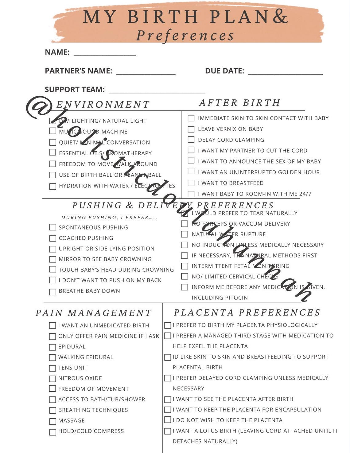 Editable Birth Plan Template | Printable Birth Preferences PDF ...