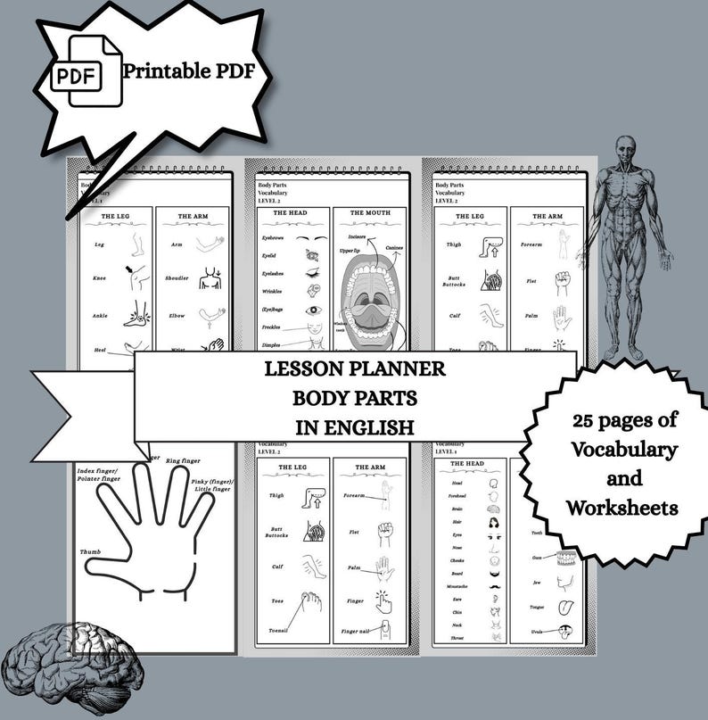 Body Parts (english Lesson) Printable PDF! - Etsy