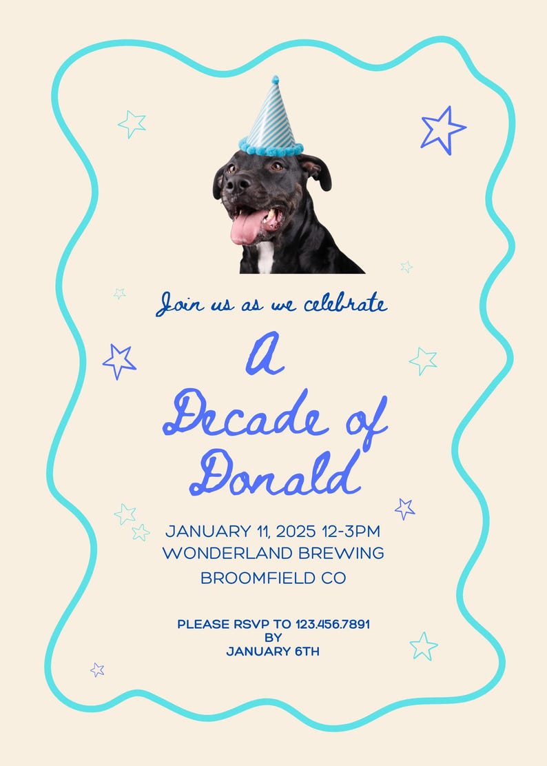 Dog/cat Birthday Invitation - Etsy