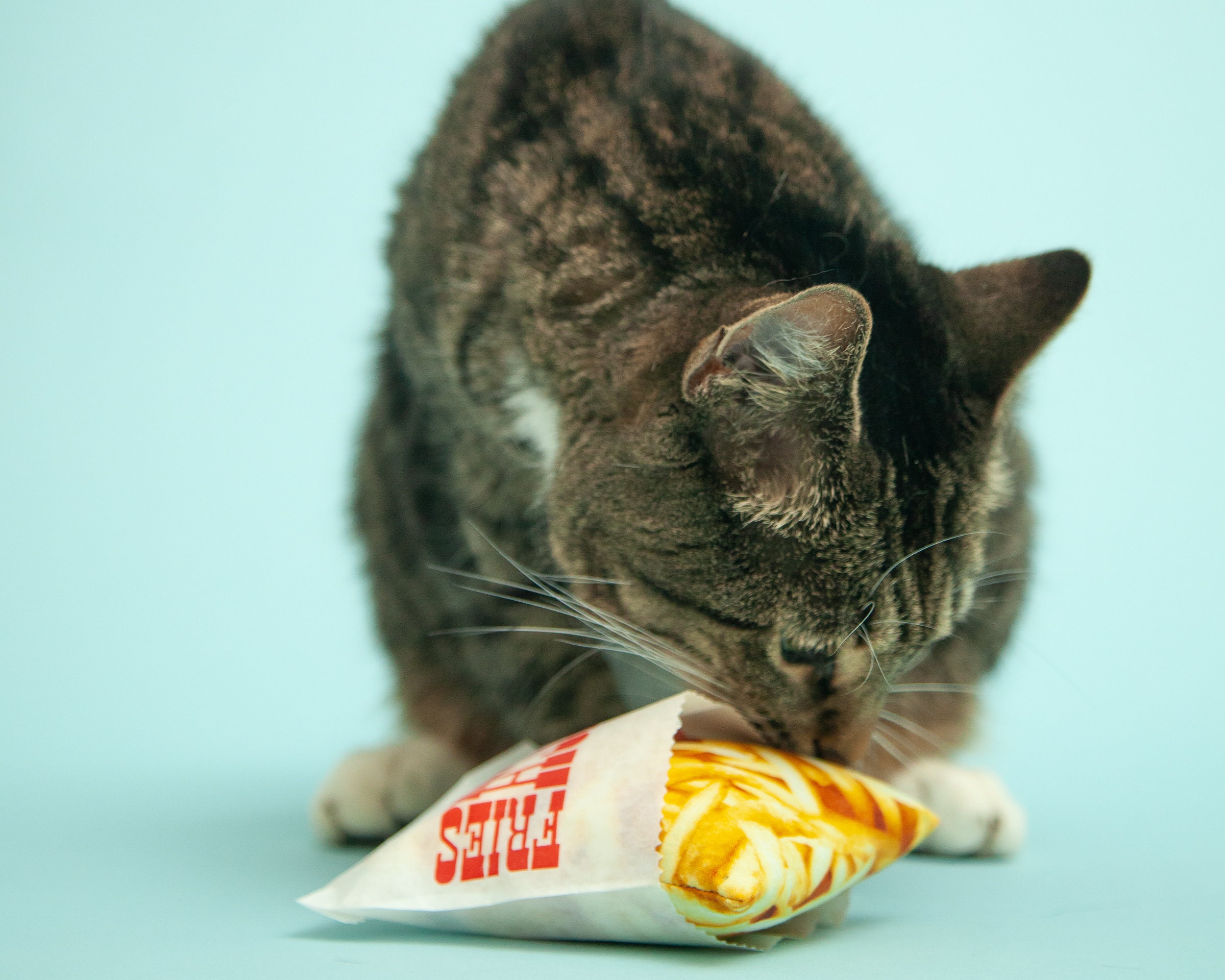 French Fries Catnip Toy Fast Food Chips Junk Food - Etsy