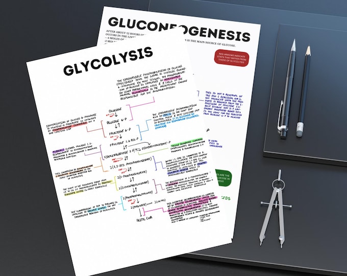 MCAT Comprehensive Biochemistry Metabolic Pathway Study Guide - Etsy Canada