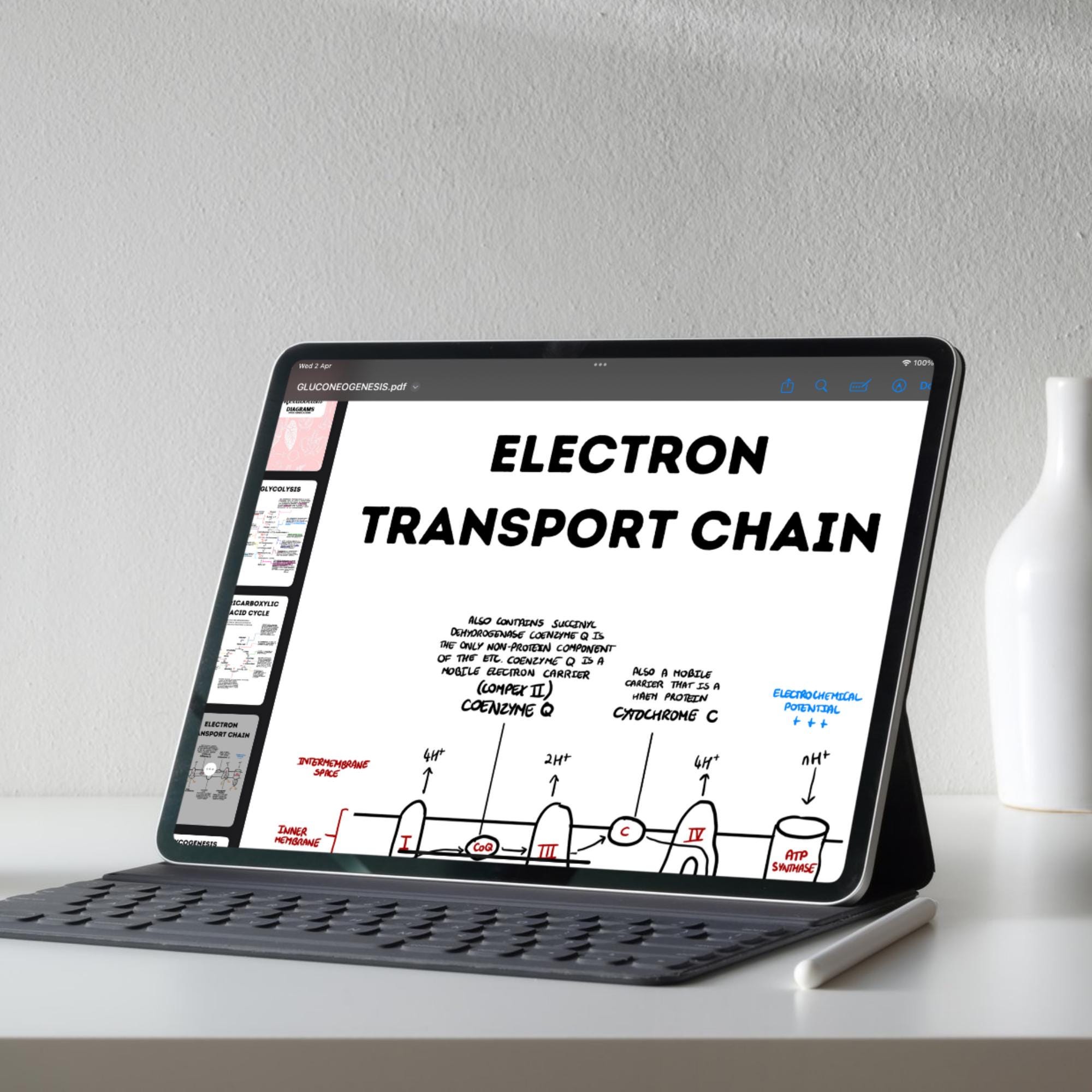 Metabolism Pathways Study Notes | Medical Student & MCAT Biochemistry ...