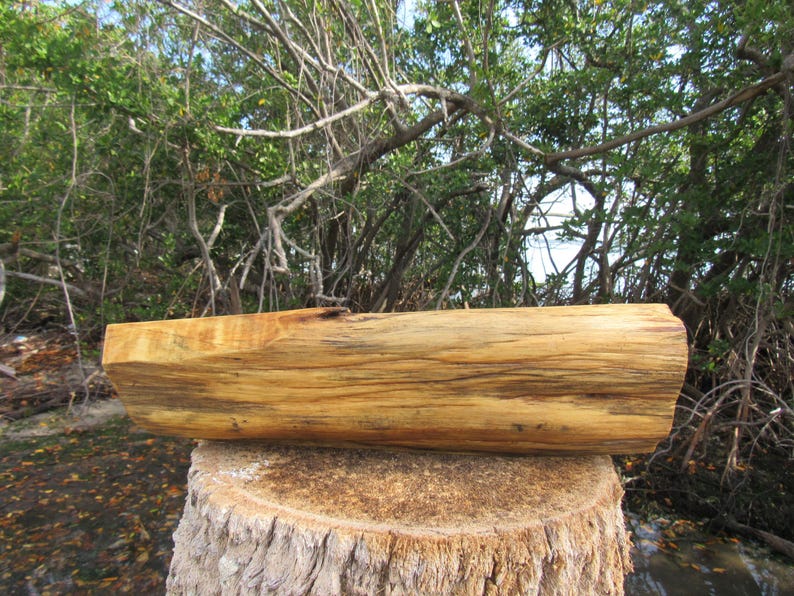 Live Edge Cedar Floating Shelf | Reclaimed Hurricane Wood | 14.25" Wall ...
