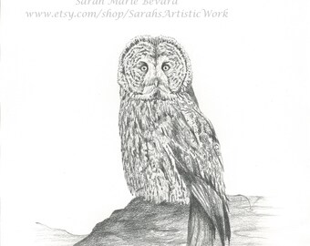Owl Pencil Drawing - Etsy