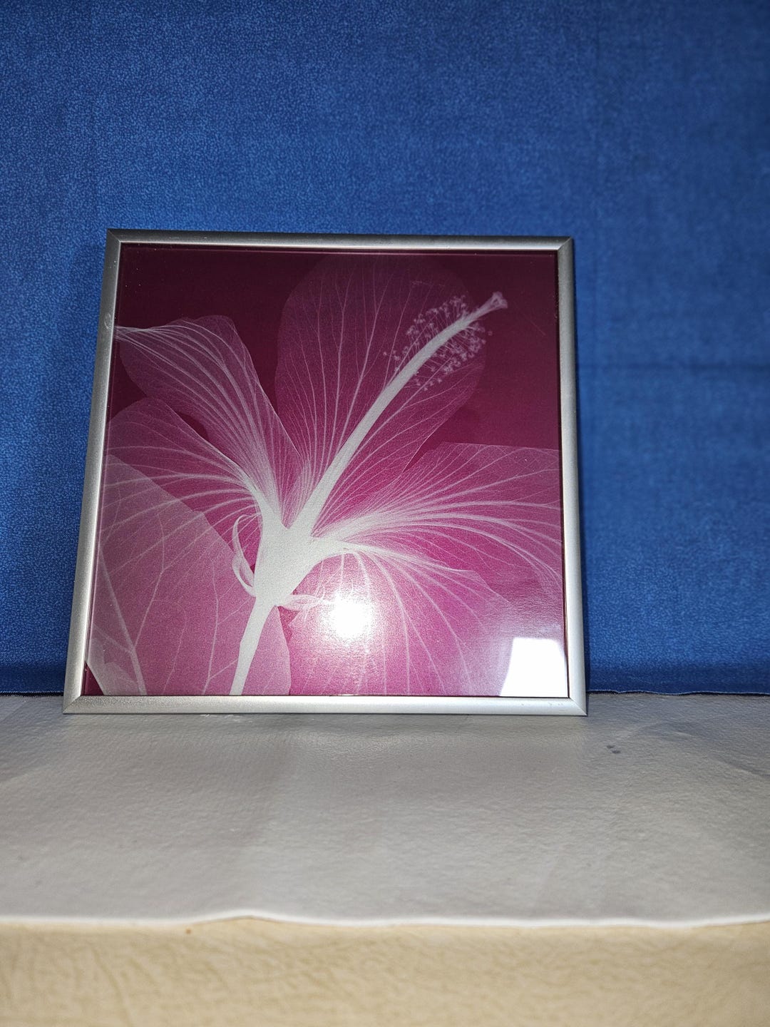 X-ray Flower Art Prints - Floral Radiograph Set of 3 - Etsy