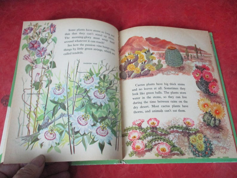 Vintage Collectible Book 1961 the Wonder Book of Flowers by Cynthia ...