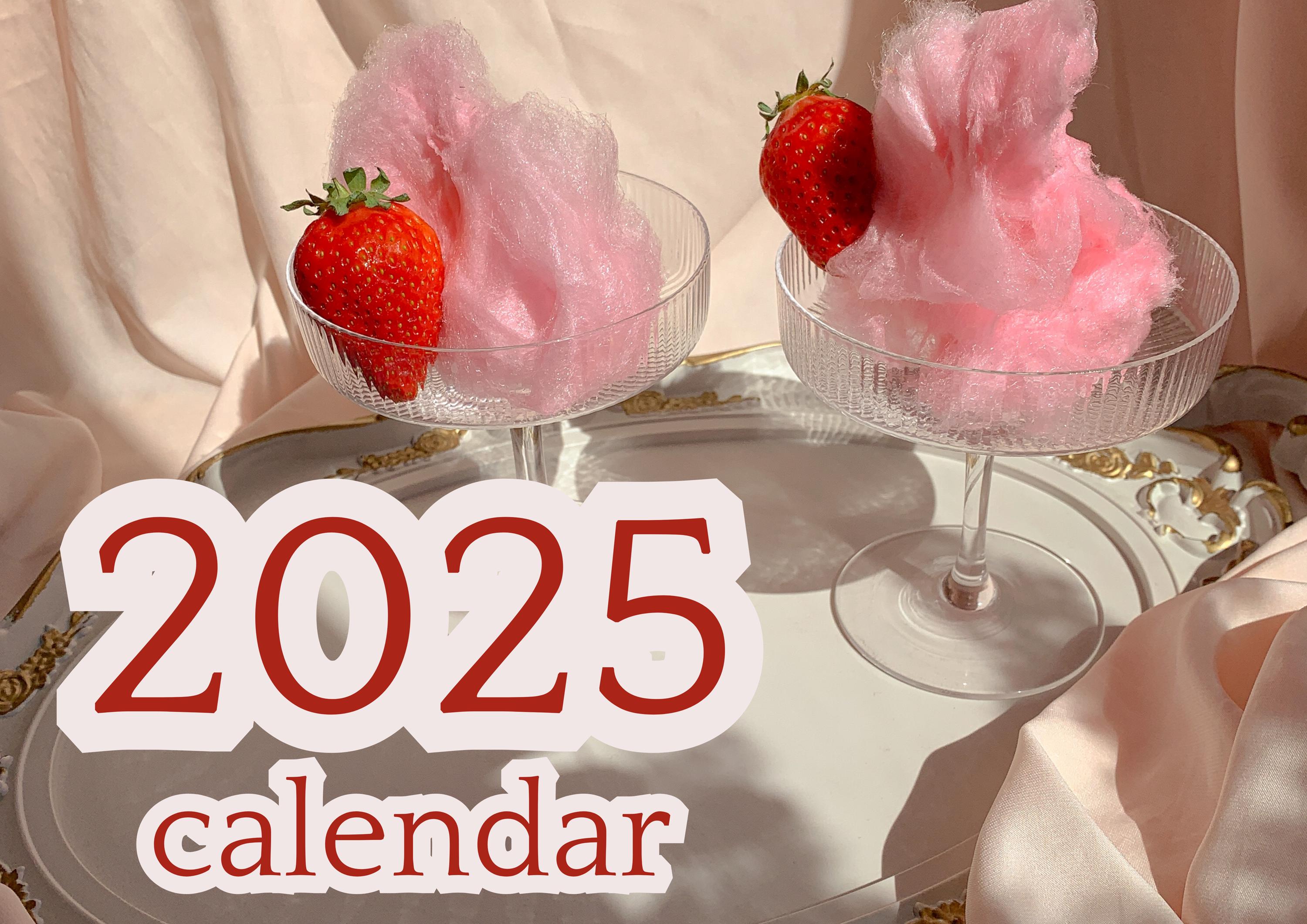 Digital Calendar & Personal Journal | Pink Coquette Aesthetic | Cute ...