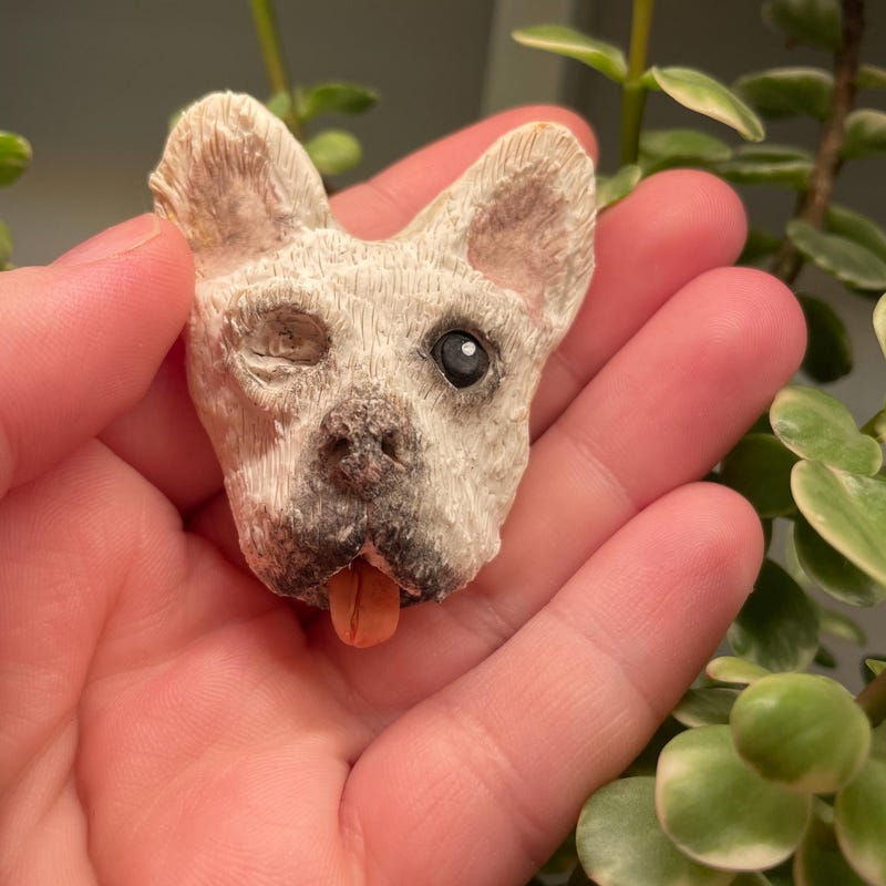 Pet Photo Magnet Clay - Etsy