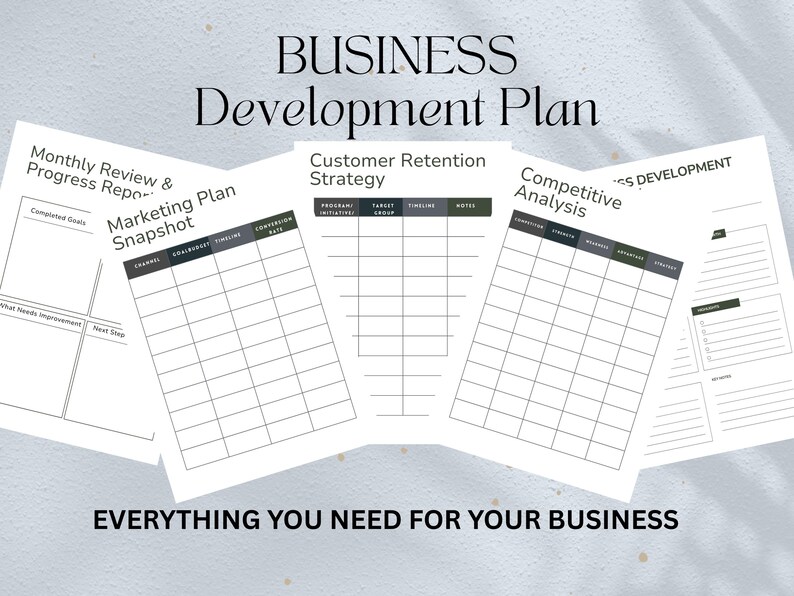 Business Development Plan, SWOT Analysis, Revenue Strategy Plan, Sales ...