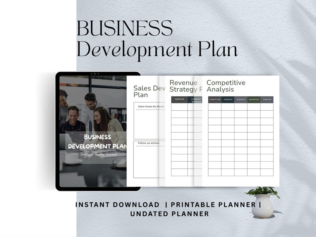 Business Development Plan, SWOT Analysis, Revenue Strategy Plan, Sales ...
