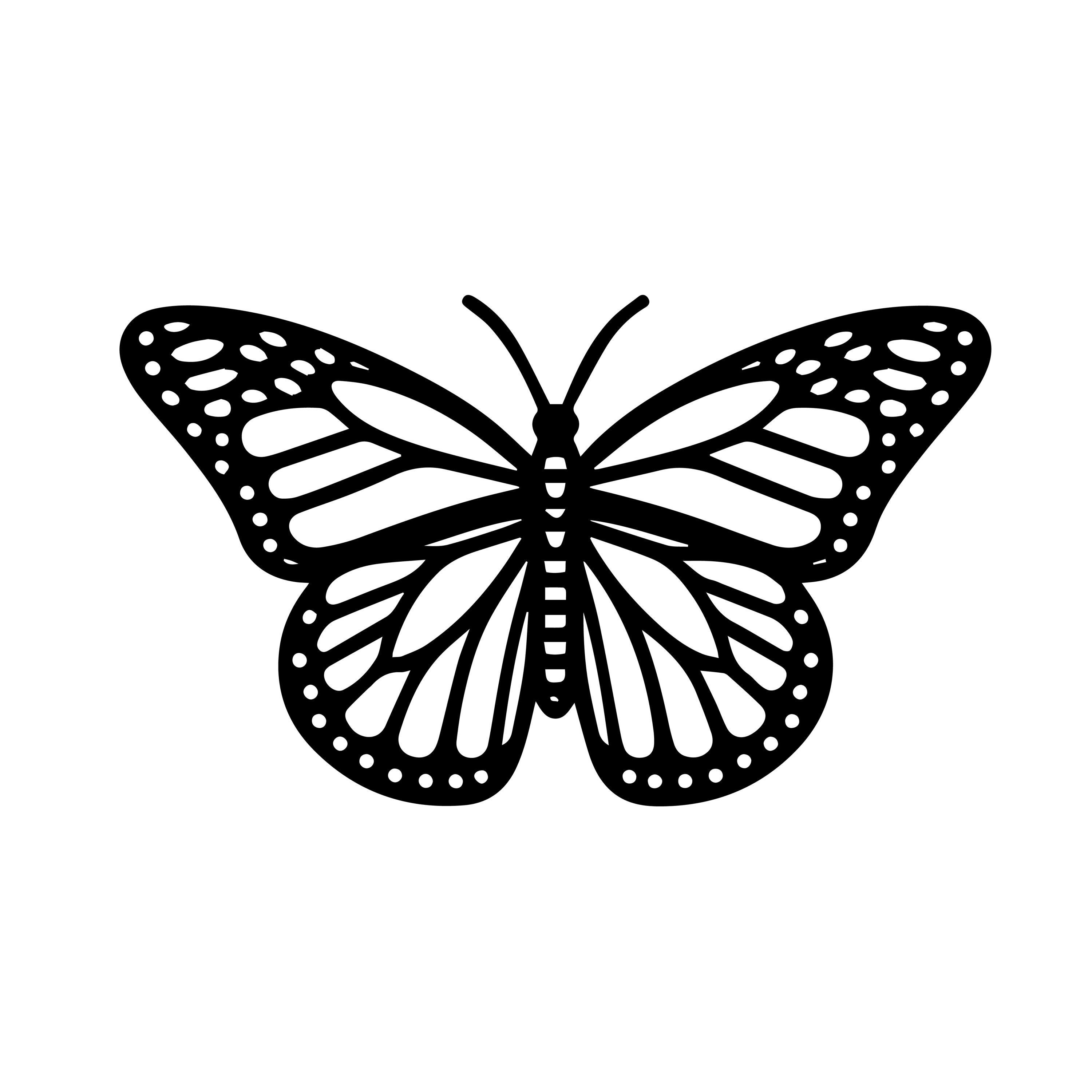Monarch Butterfly Cricut Cut File SVG PNG Jpeg Layered Butterfly ...