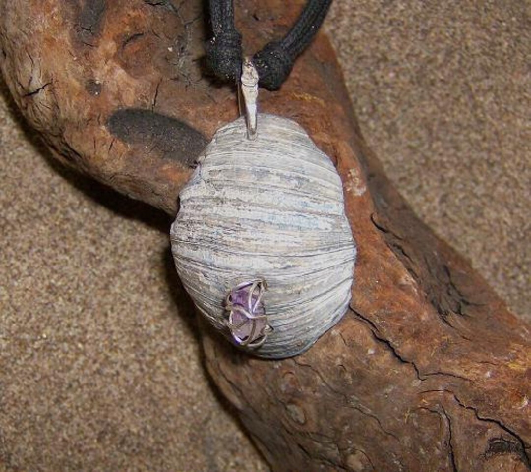 Shell Amulet...water SHIELD- This Amulet Features a Water Tumbled Shell ...