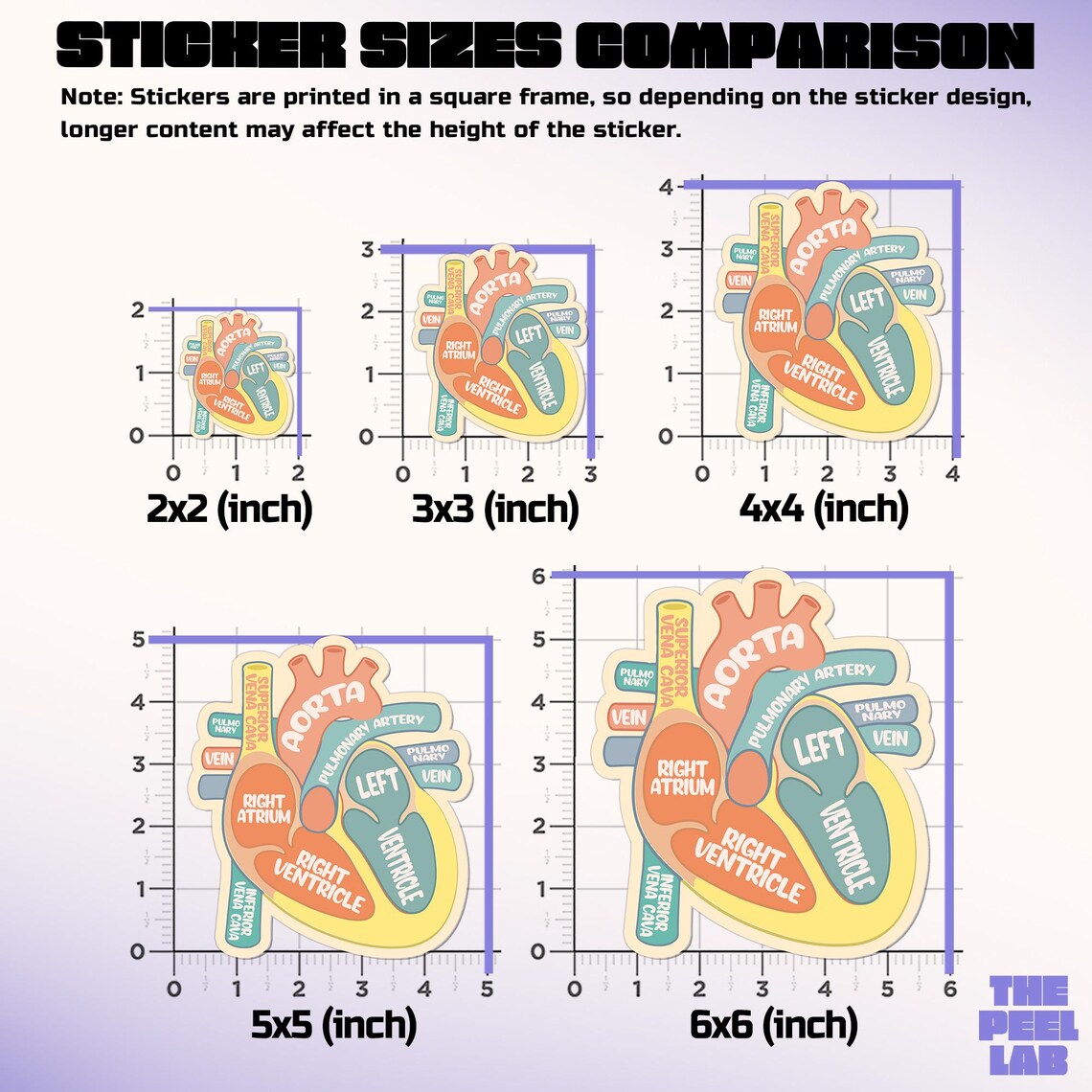Anatomical Heart Sticker, Heart Health, CHD Awareness, EMS Nurse ...