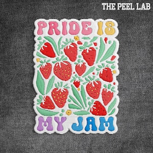 Pride is My Jam Patch, LGBTQ Ally, Equality Rights, Trans Right, Protect the Dolls Embroidered ...