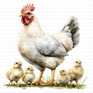 112 Chicken Family Rooster Chick Clipart Bundle Printable High Quality ...