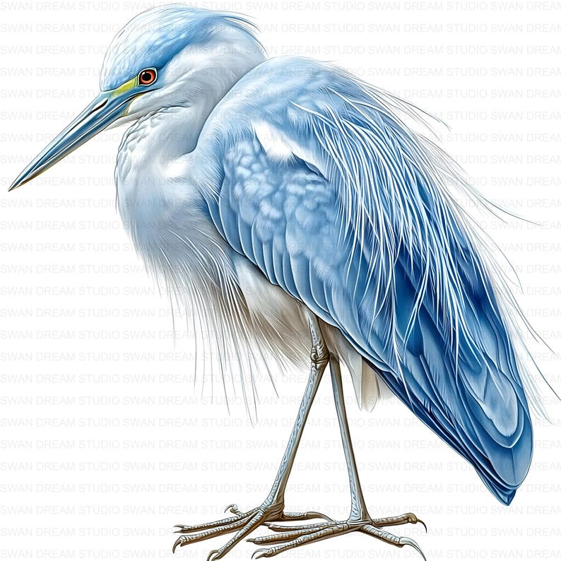 124 Whimsical Blue Heron Clipart Bundle Printable Quirky Bird JPG Card ...