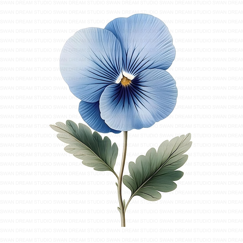 120 Single Pansy Flower Stem Clipart Bundle Printable Whimsical Floral ...