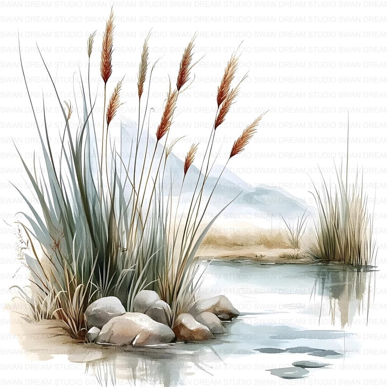 128 Cattails Reeds Water Pond Clipart Bundle Printable High Quality JPG ...