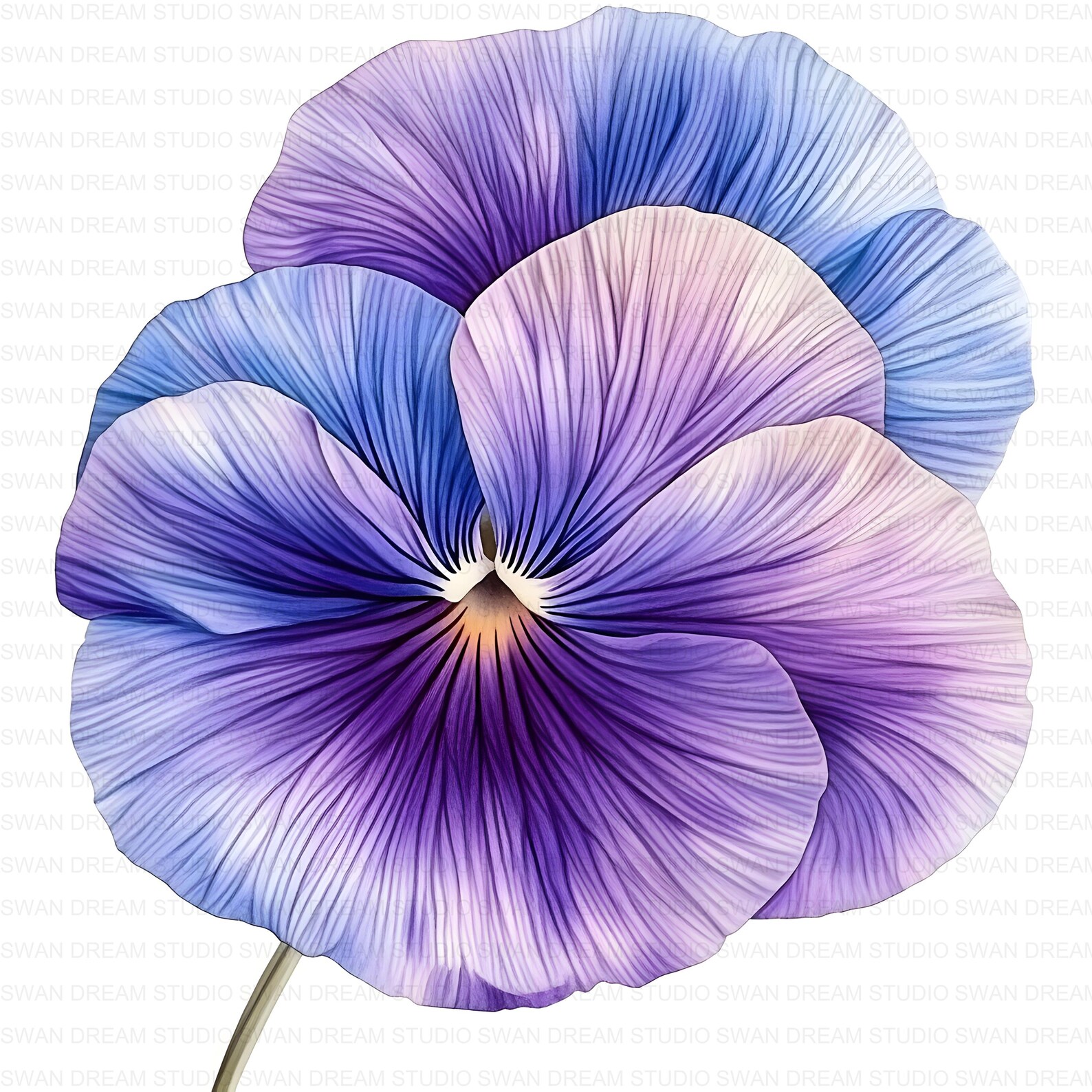 120 Single Pansy Flower Stem Clipart Bundle Printable Whimsical Floral ...