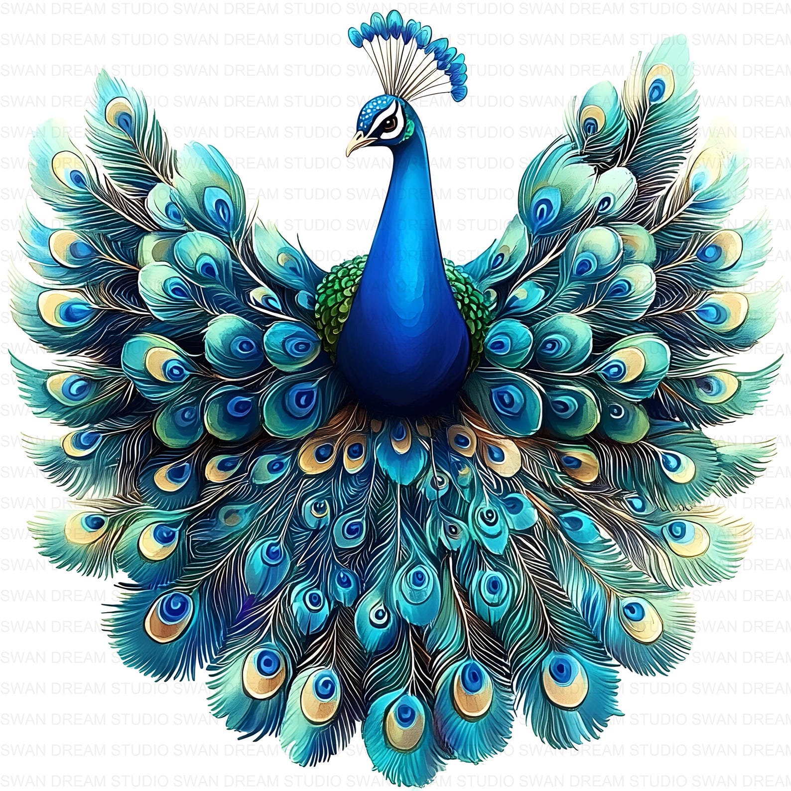 123 Beautiful Cute Peacock Clipart Bundle Printable High Quality JPG ...
