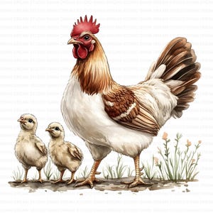 112 Chicken Family Rooster Chick Clipart Bundle Printable High Quality ...