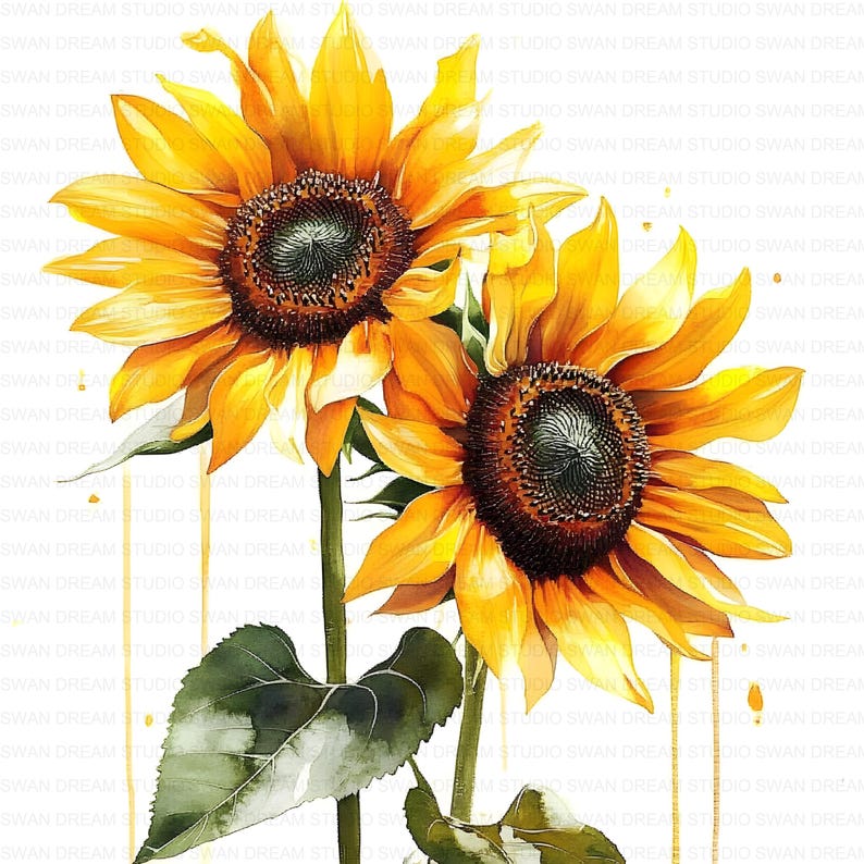 128 Beautiful Sunflower Flower Clipart Bundle Printable High Quality ...