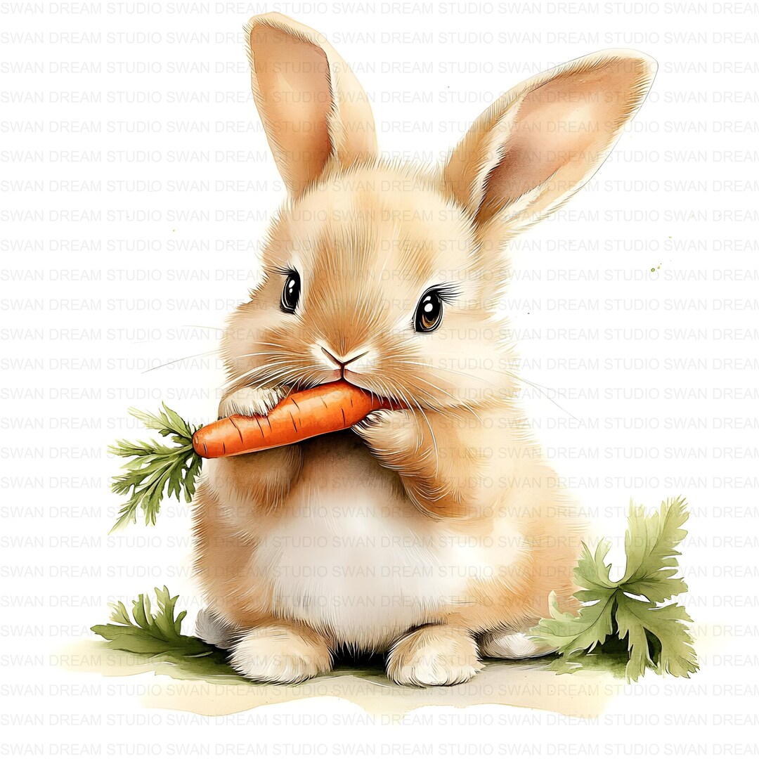 160 Cute Fluffy Bunny Rabbit Clipart Bundle Printable High Quality JPG ...