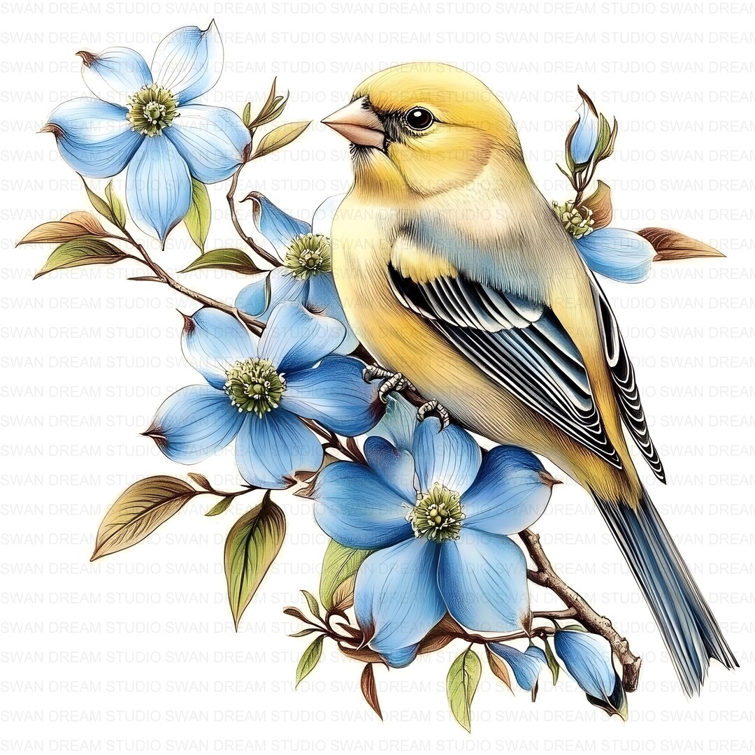 123 Goldfinch Bird Flowers Clipart Bundle Printable High Quality JPG ...
