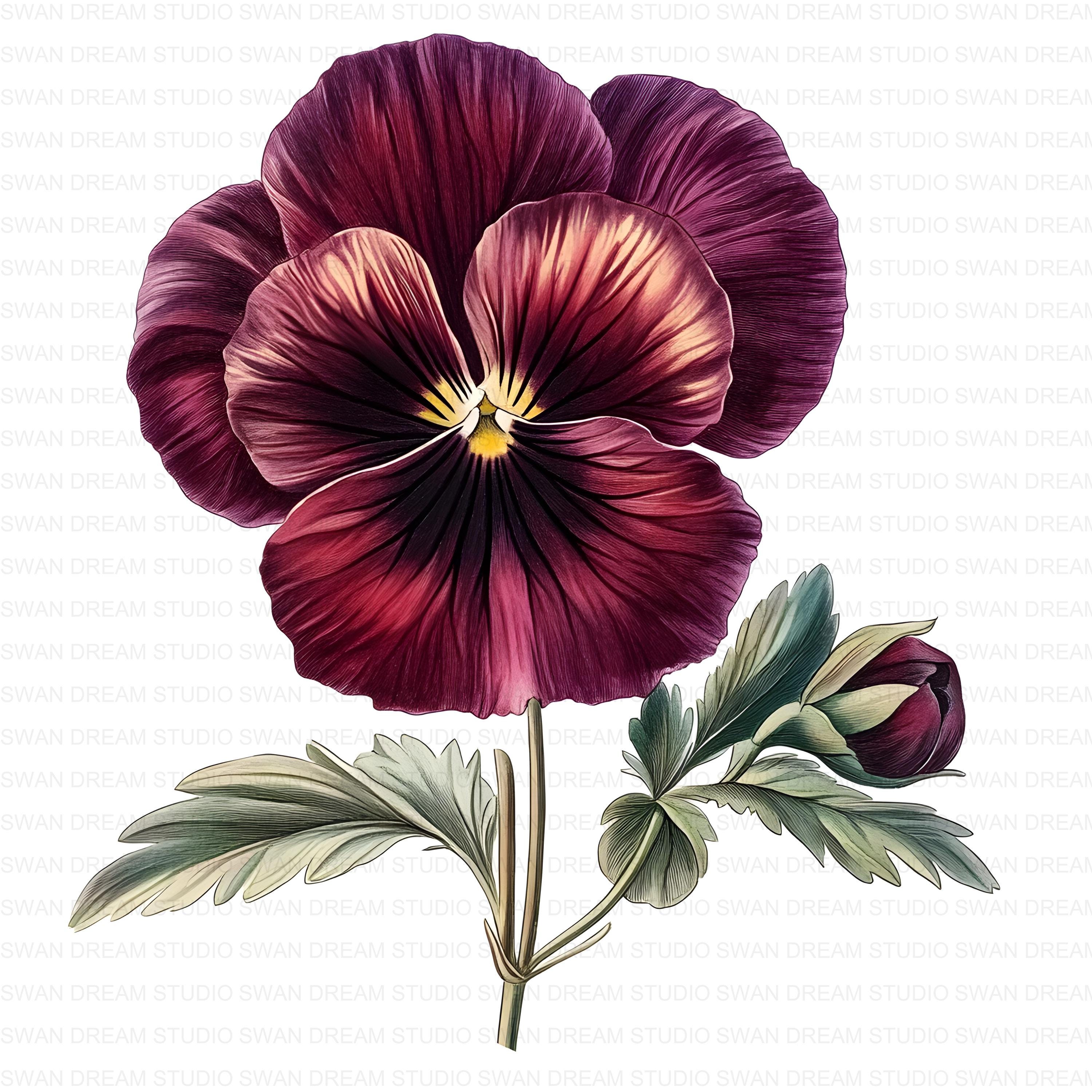 120 Single Pansy Flower Stem Clipart Bundle Printable Whimsical Floral ...