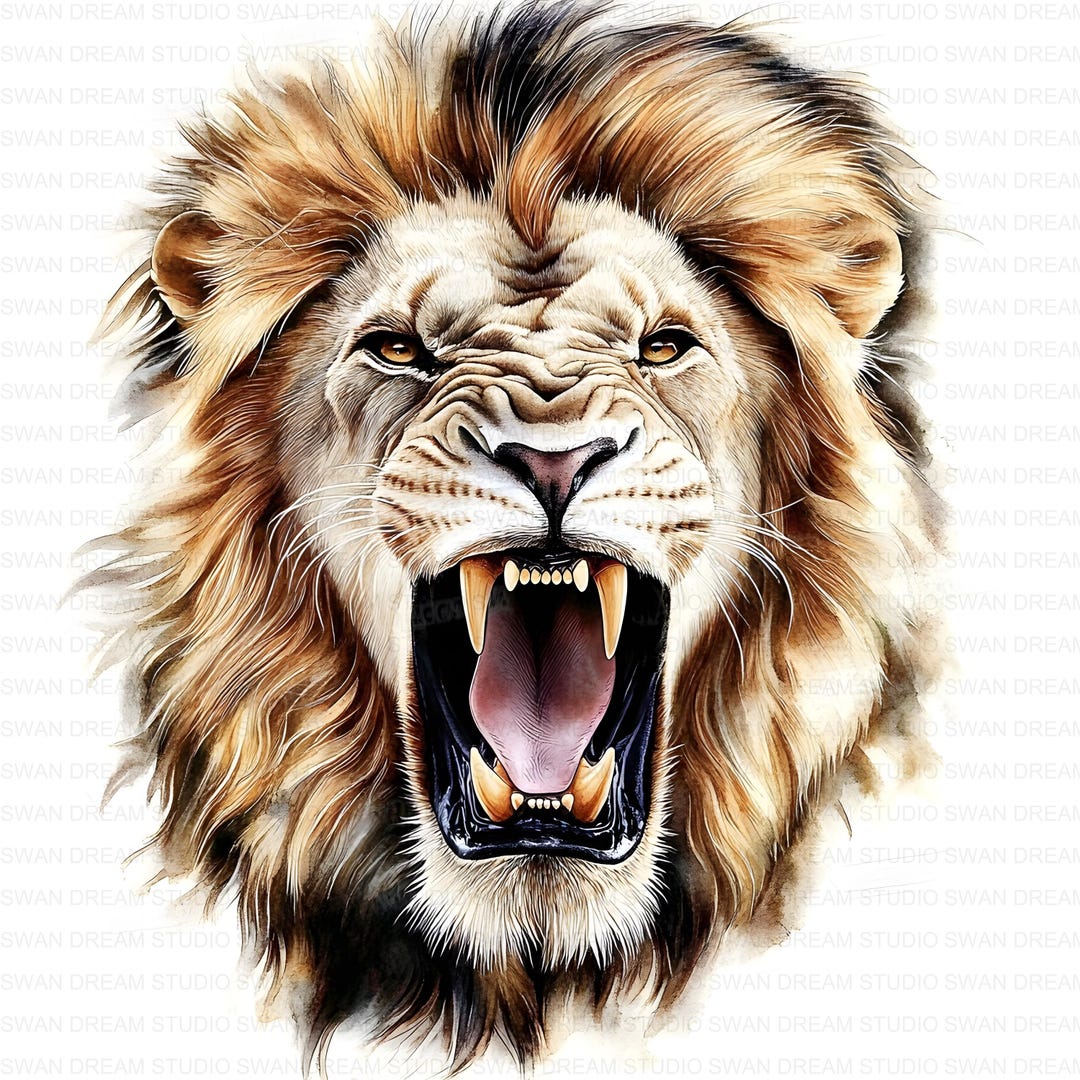 112 Quirky Lion Watercolor Clipart Bundle Whimsical Animal King ...